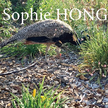 Sophie Hong 洪麗芬 - 巴黎
